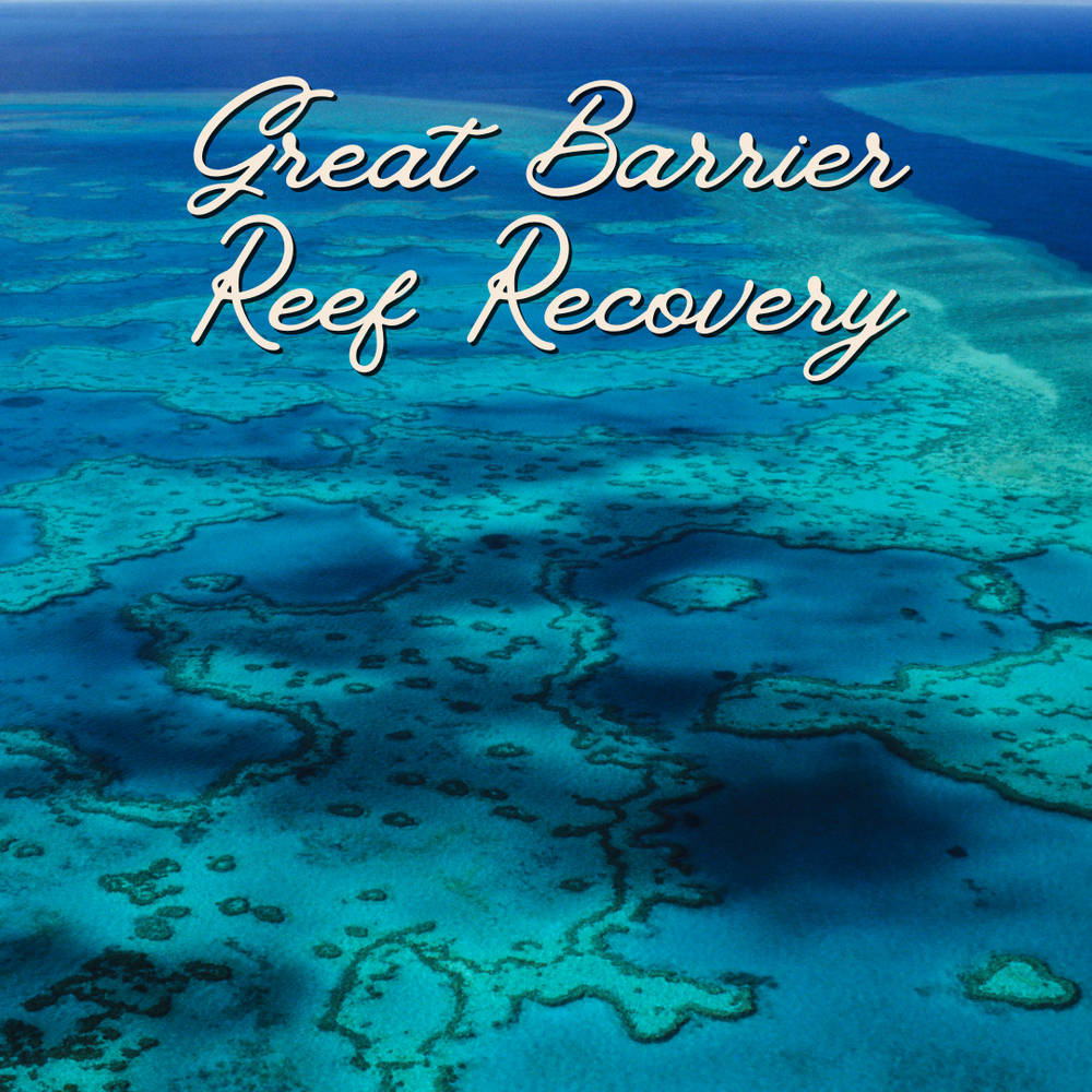 Ecotourism – Well Appointed Travel